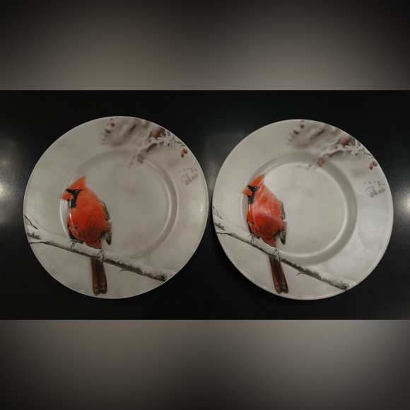 Pier 1 | Holiday | Pier Winter Forest Cardinal Plates | Poshmark